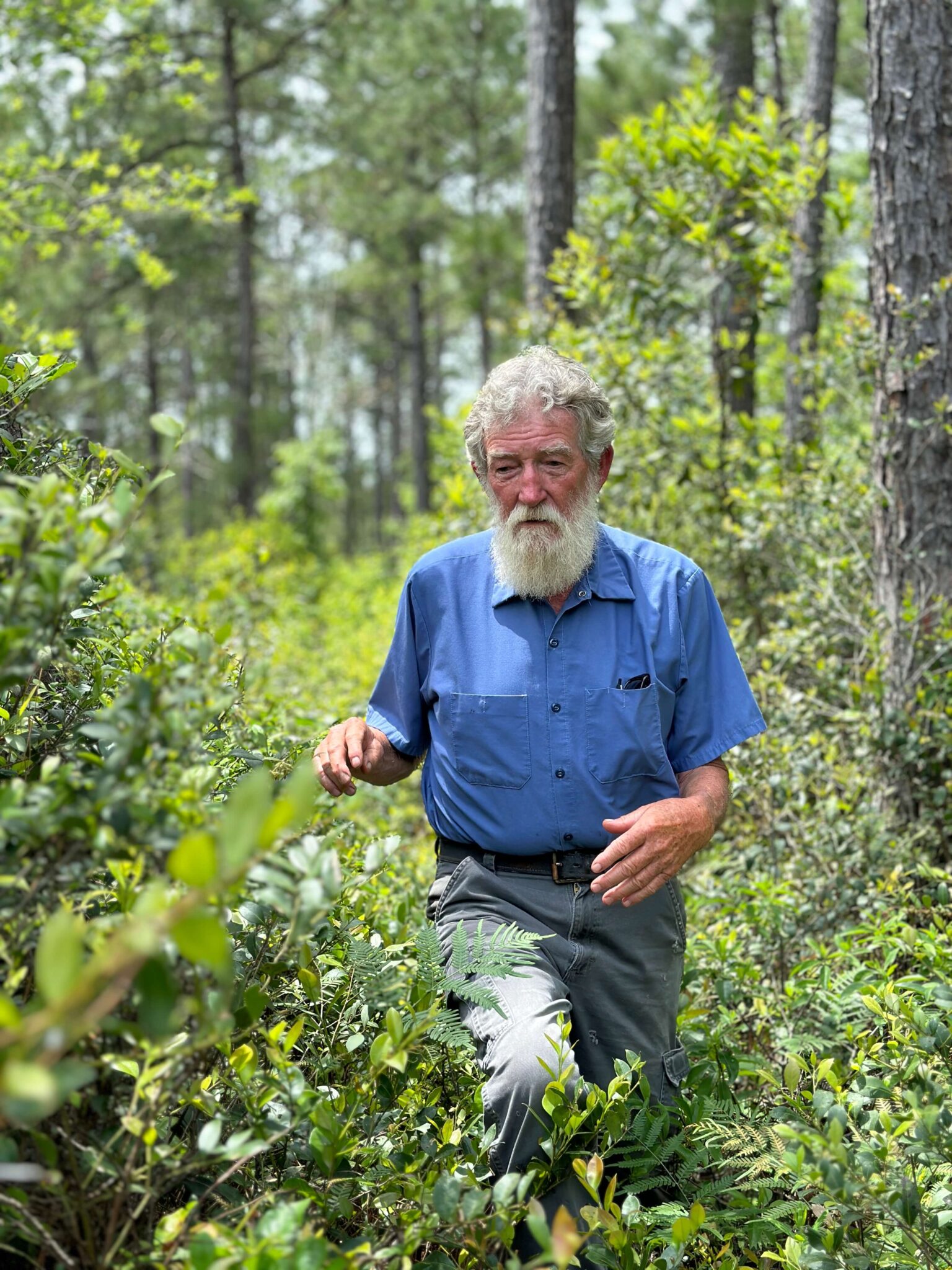 FAQs - Working Lands Trust
